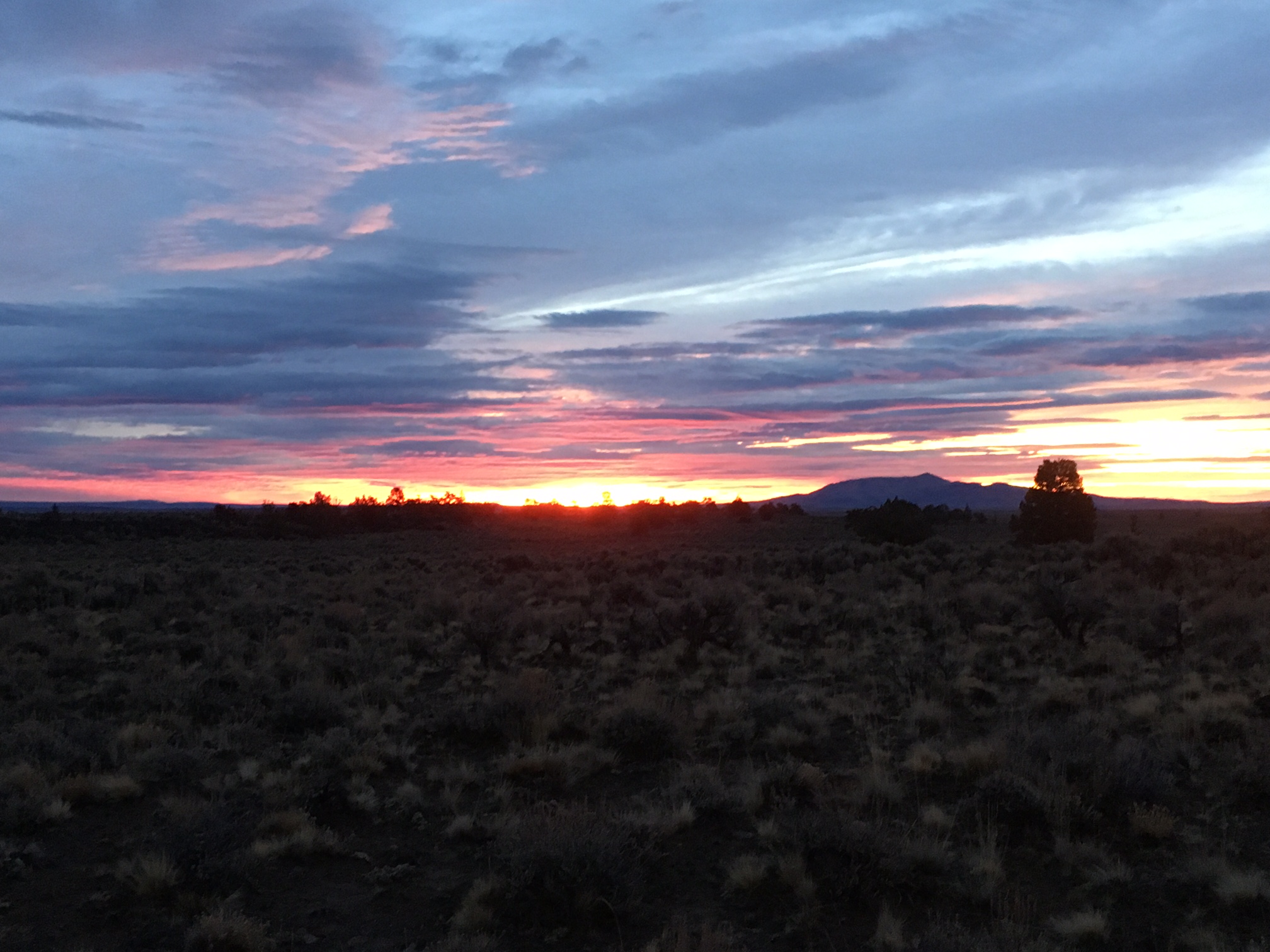 A Hunting Story – Bunkhouse Chronicle