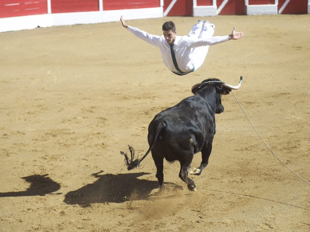 The Heart of a Stunt Man – Bunkhouse Chronicle